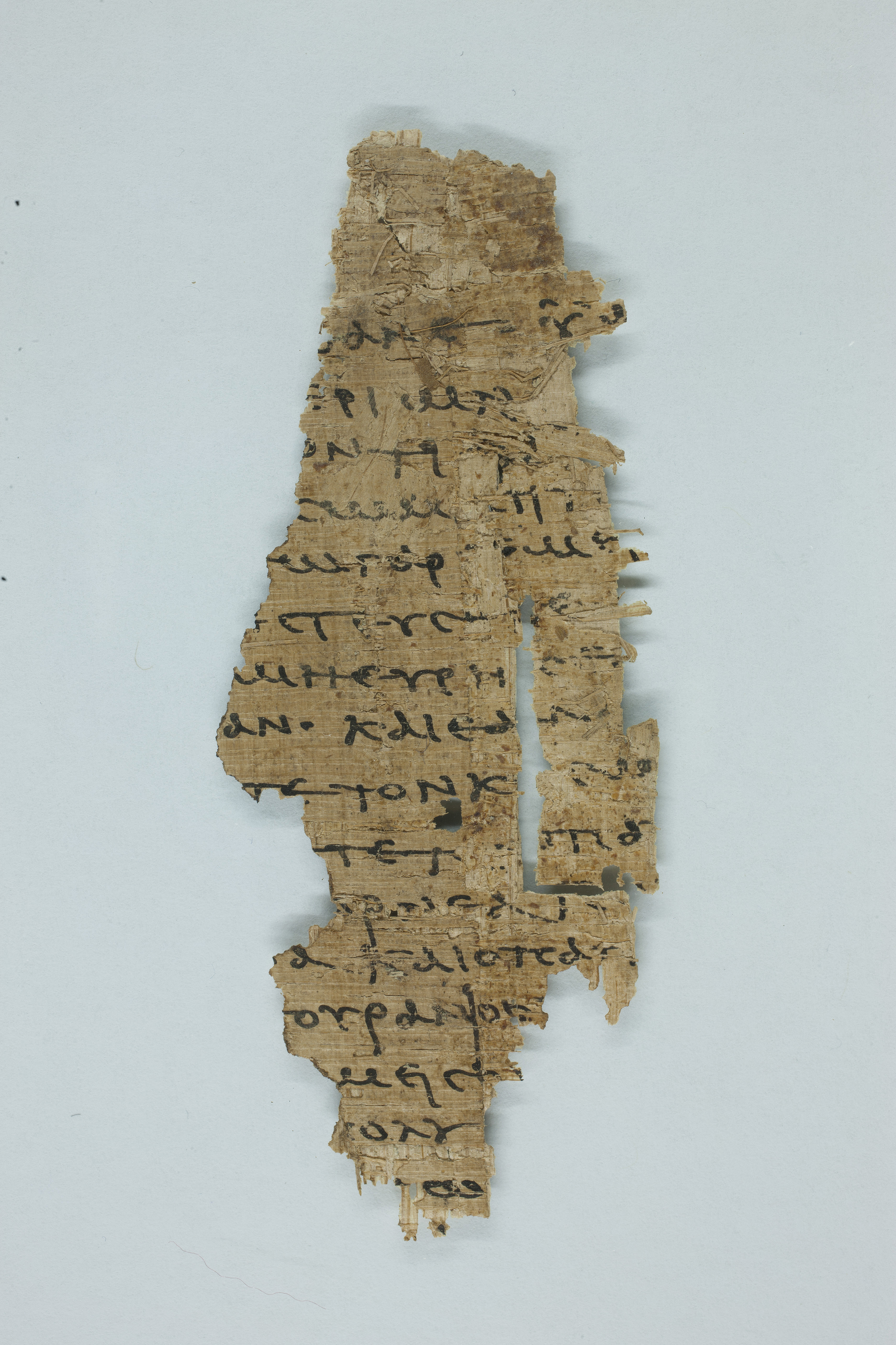 Dr. Daniel B. Wallace Contributes to New Publication of Papyrus with ...